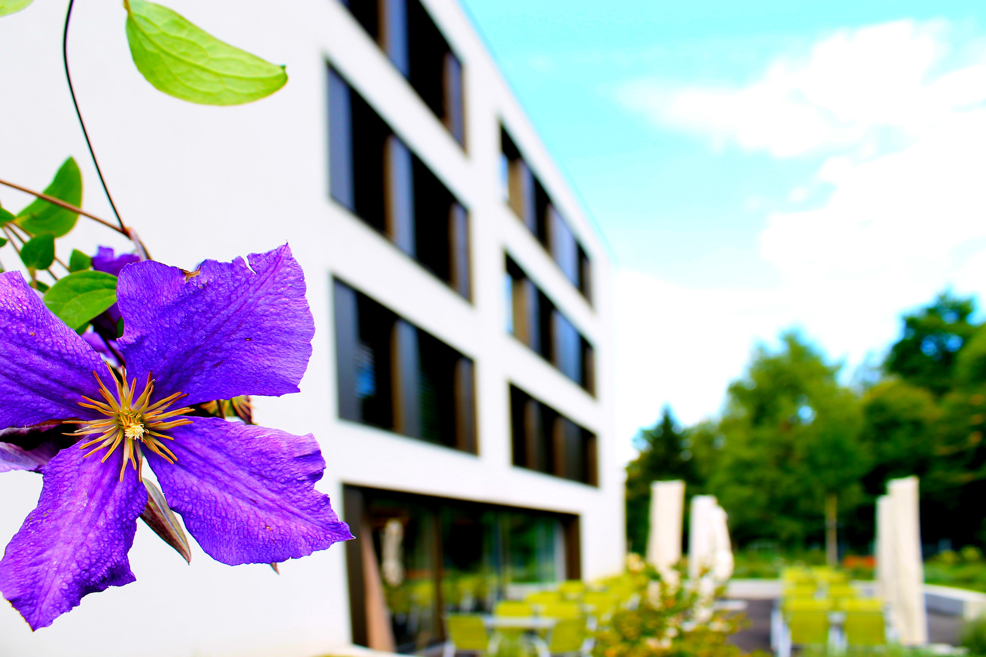 CONTACT | Pré-Fleuri