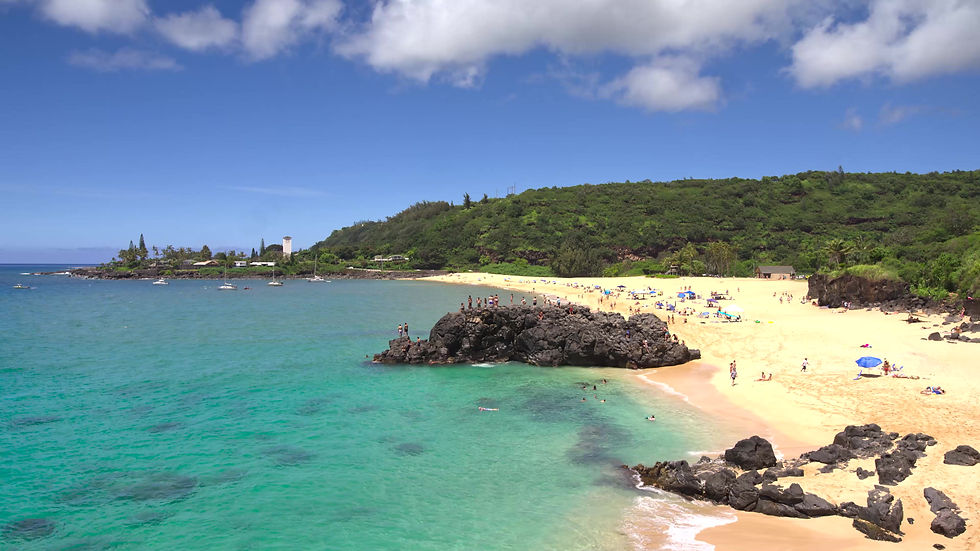 LiquidView - Virtual Windows