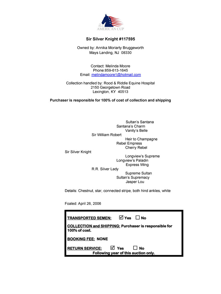 Sir Silver Knight | All American Cup