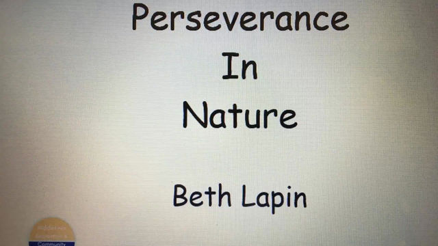 Perseverance in Nature