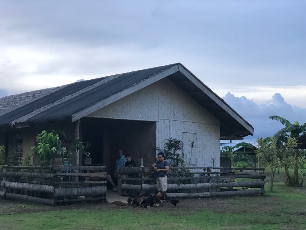 ROOTS & AGRICULTURE IN NARRA, PALAWAN