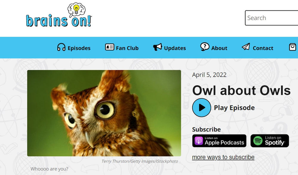 Listen to Brains On! and learn 'Owl about Owls'