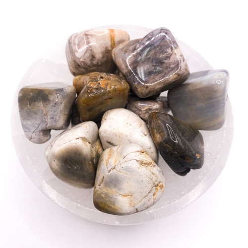 NZ Flint Tumbled | Rock & Gemstone Shop