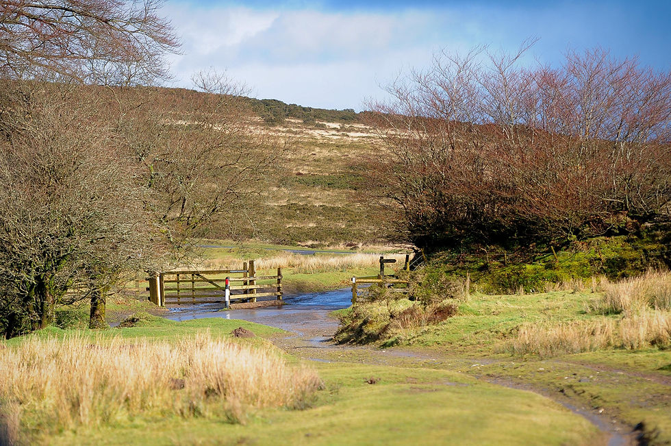 ACCOMODATION | LISCOMBE FARM COTTAGES