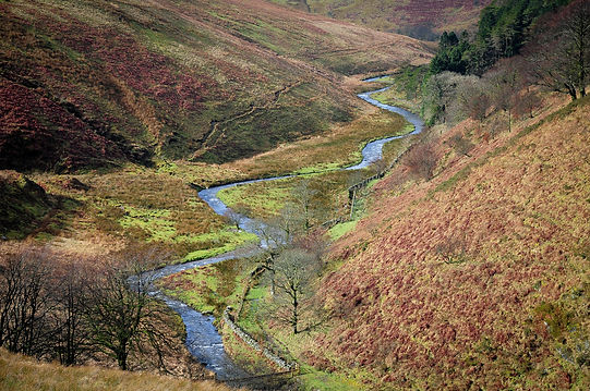 ABOUT & THINGS TO DO | LISCOMBE FARM