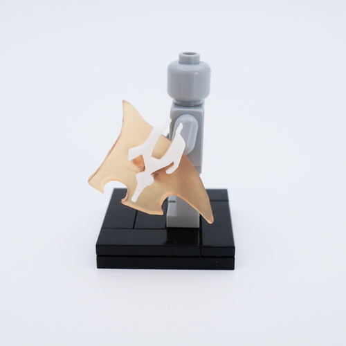 Arcane Spirit Shield | osrsbricks