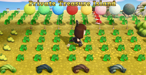 Animal Crossing Private Treasure Island | Nooks Treasure