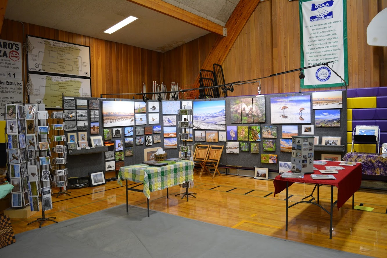 Guided tours of Migratory Birds in Harney County, Oregon