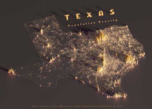 Texas PD Poster | Rayshade Designs