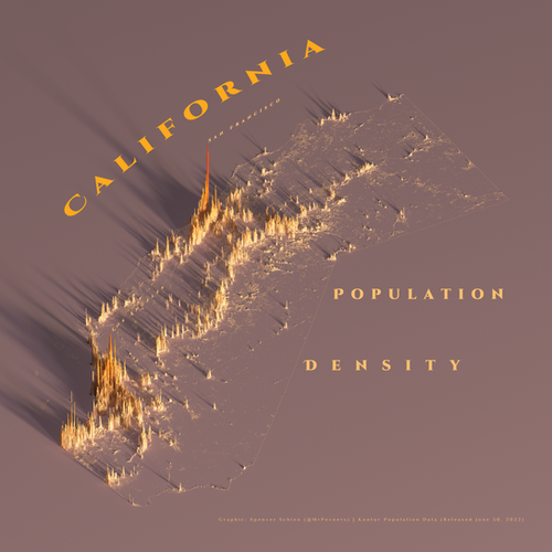 California PD Poster | Rayshade Designs
