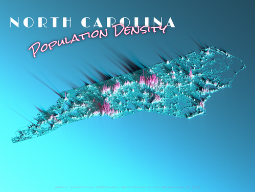 North Carolina PD Poster | Rayshade Designs