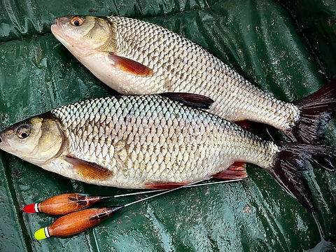 DJL floats. Handmade Fishing Floats. 100% Vintage, Traditional Fishing ...