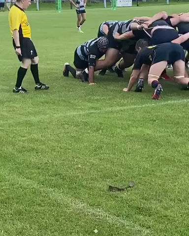 Scrummaging