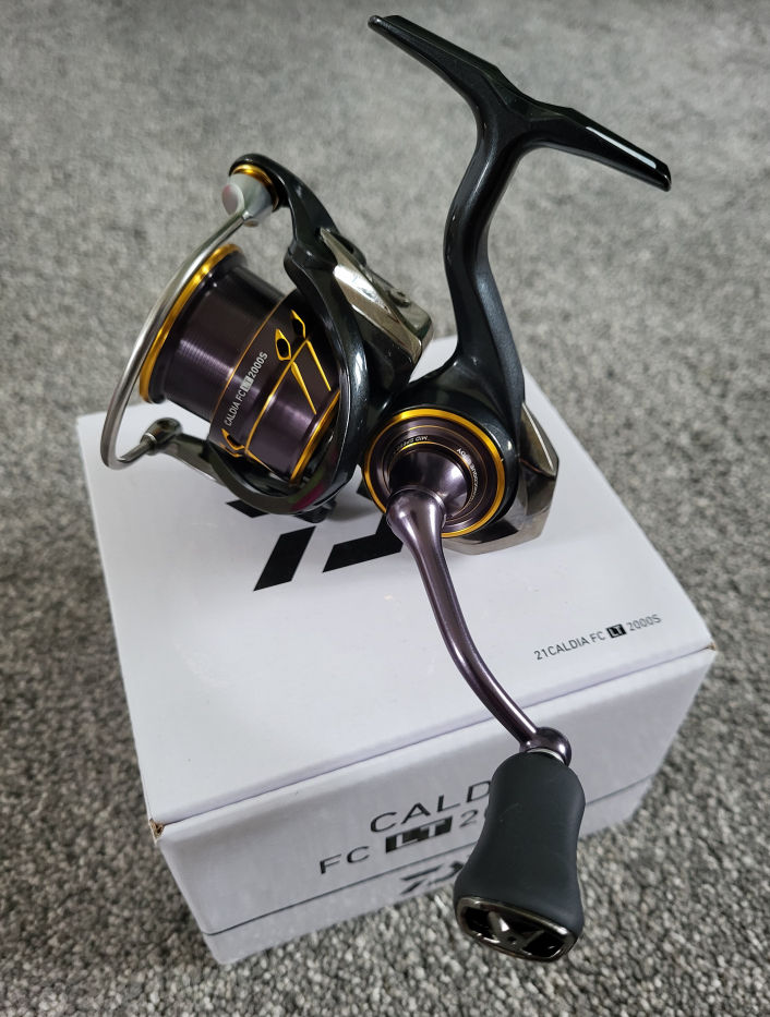 Daiwa 21 Caldia | NineSeven Tungsten