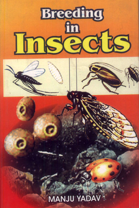 Breeding in Insects | Discovery Publishing