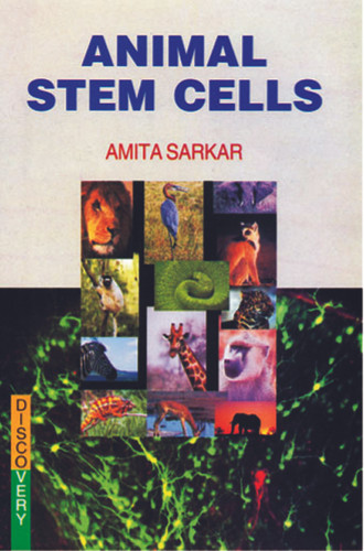 Animal Stem Cells | Discovery Publishing