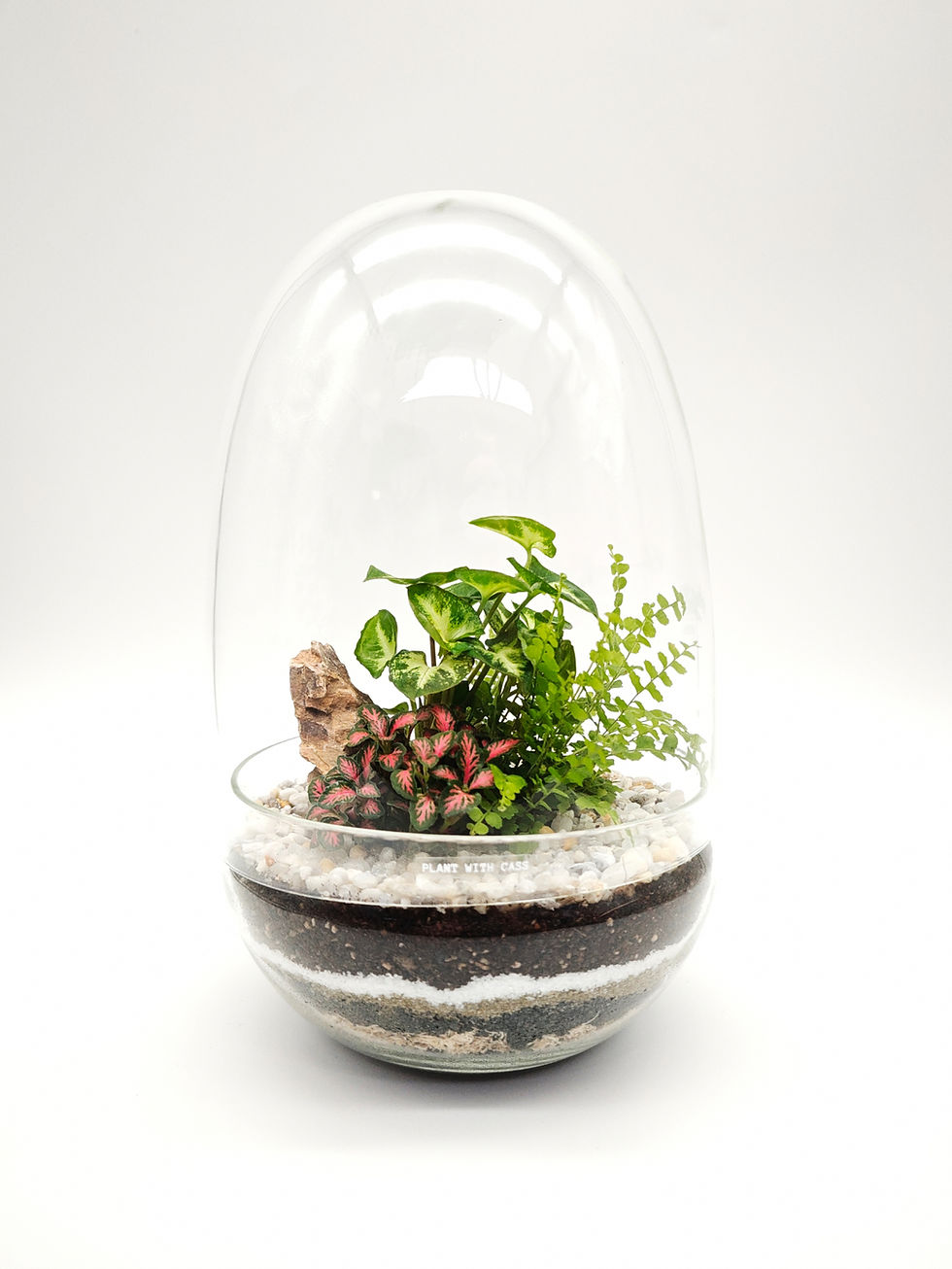 Egg Dome Terrarium | Plant With Cass