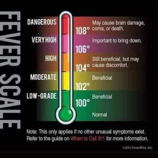 Fever Phobia- Supportive studies on why we should support fever rather ...