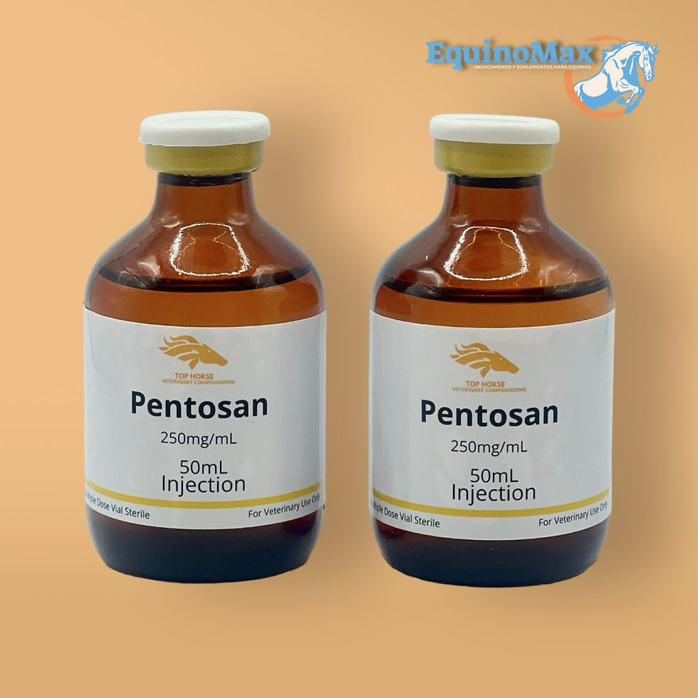 PENTOSAN 250mg/ml 50ml TOP HORSE | Equinomax Mexico PENTOSAN 250mg/ml 50ml TOP HORSE | Equinomax Mexico