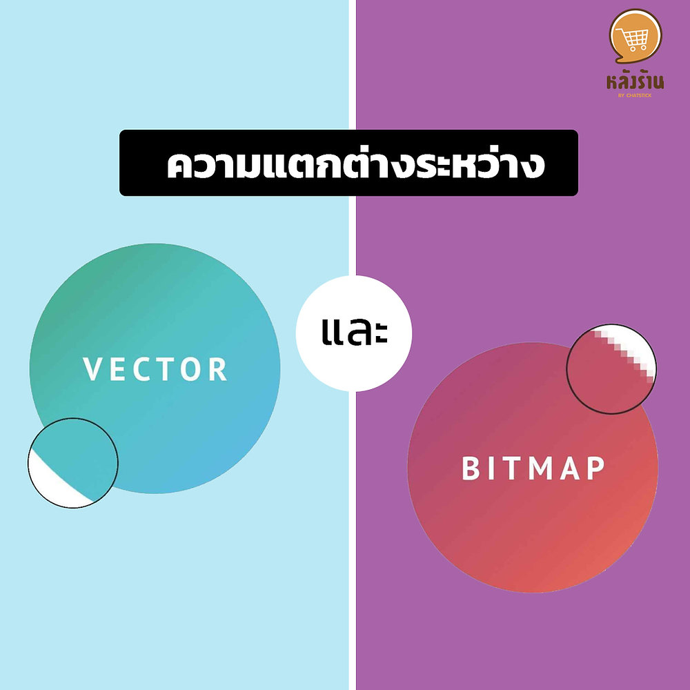 ความแตกต่างระหว่าง Vector และ Bitmap