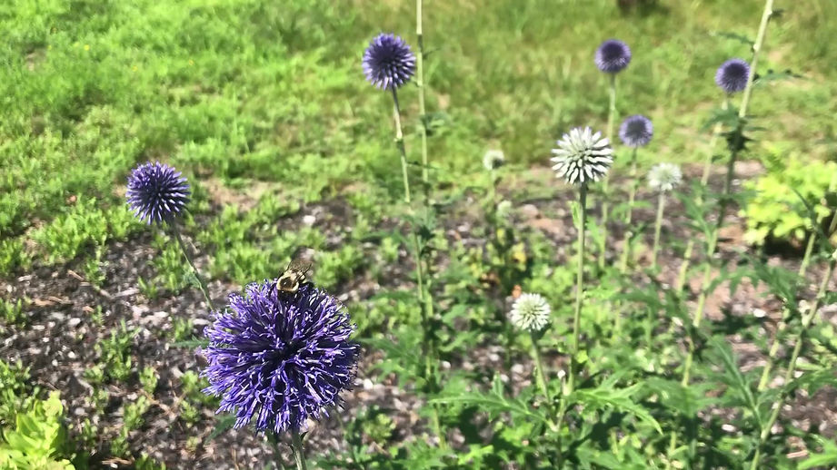 HOME | Weatherbee Resources