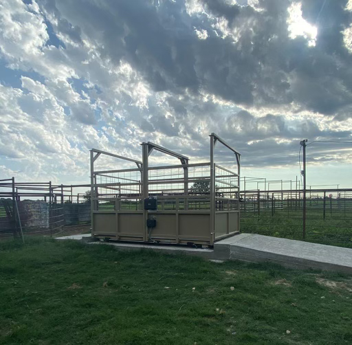 Livestock Scales | Animal scales | Cattle scales | Dog scales - Tufner