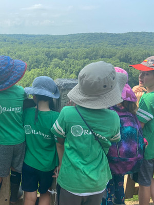 elementary (k-2) | raintree