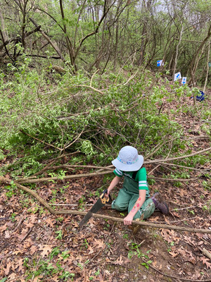 elementary (k-2) | raintree