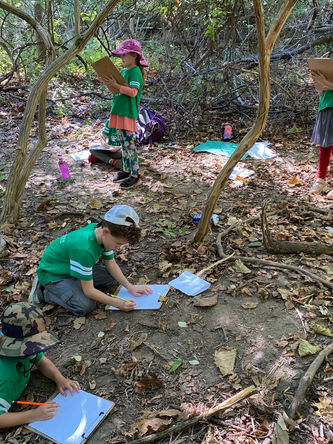 Raintree School | St. Louis | Reggio-Inspired Forest School