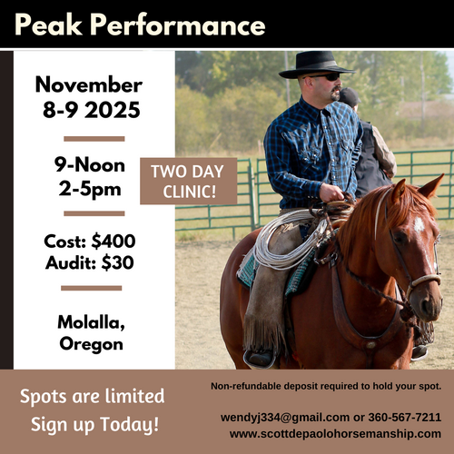 Peak Performance Clinic - November 2025 | scottdepaolo