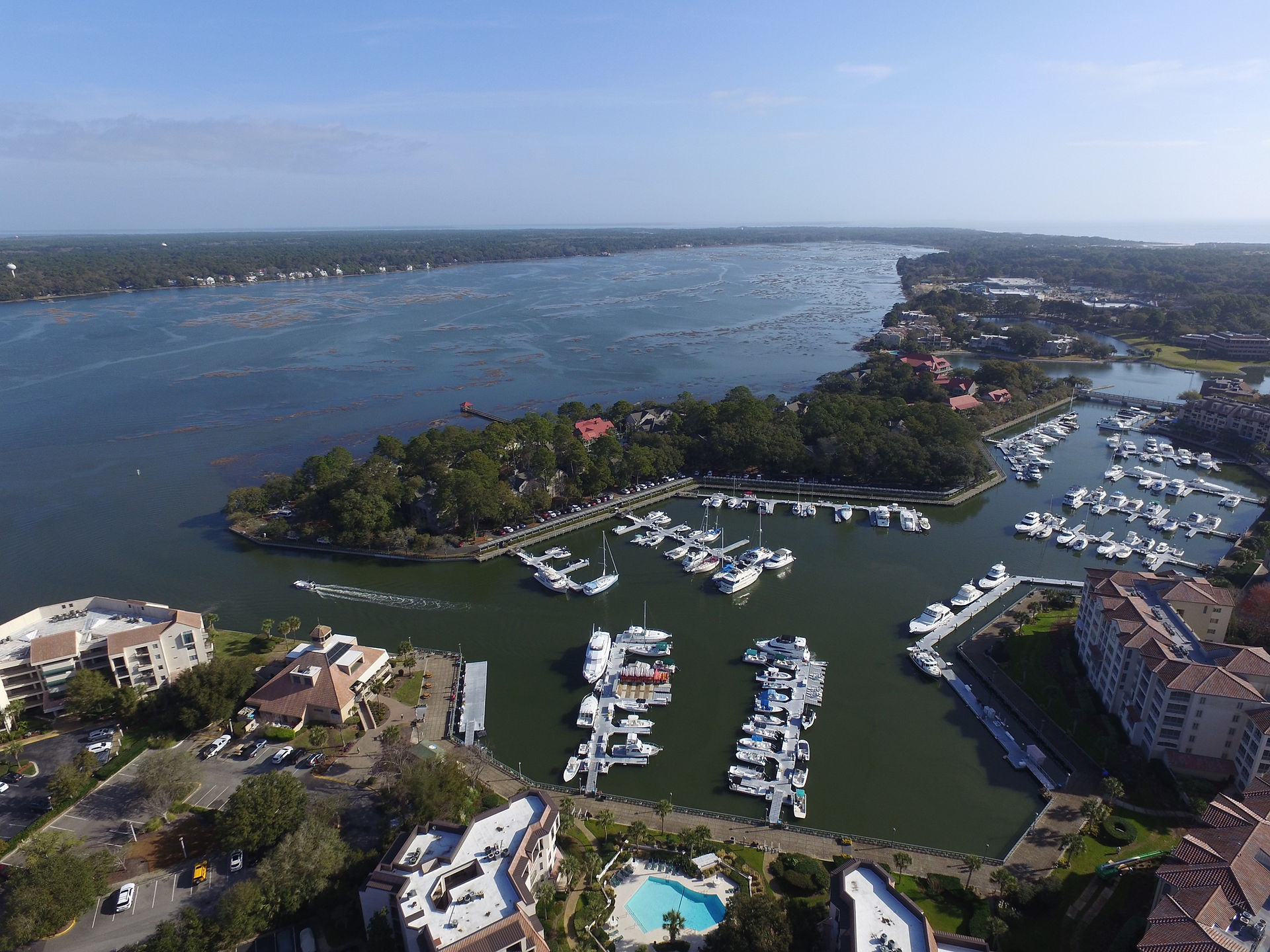 Hilton Head Social Bakery Named Best Pastry Spot In South Carolina By Yelp hilton-head-social-bakery-named-best-pastry-spot-in-south-carolina-by-yelp