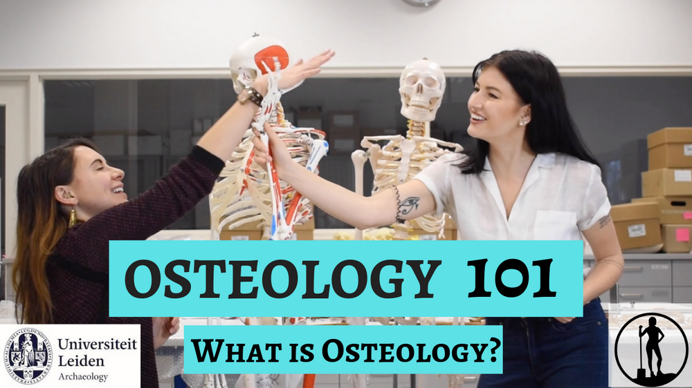 Osteology 101- Part 1/5: What is Osteology?