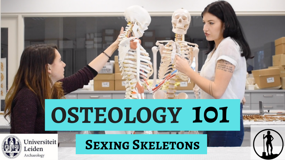 Osteology 101 Part 35 Sexing Skeletons