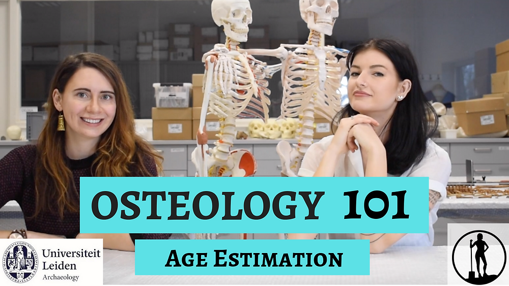 Osteology 101- Part 2/5: Age Estimation