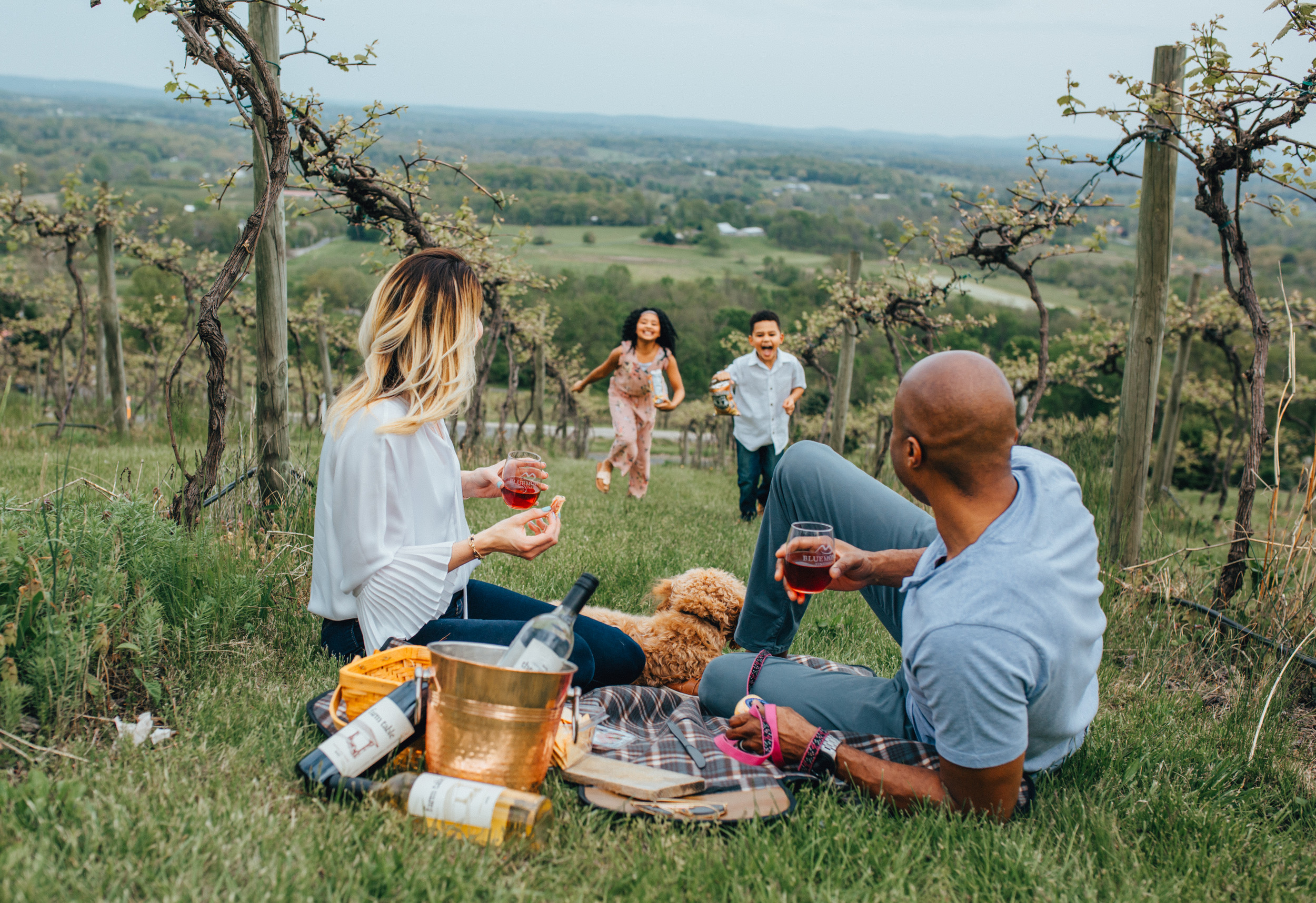 Bluemont Vineyards | Virginia Wine Love