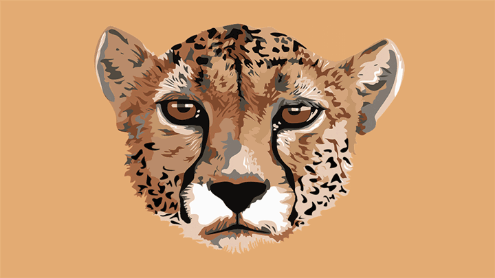 Alice Combe | Creative