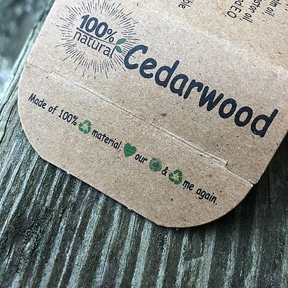 Organic | Basic Bars Soap | United States