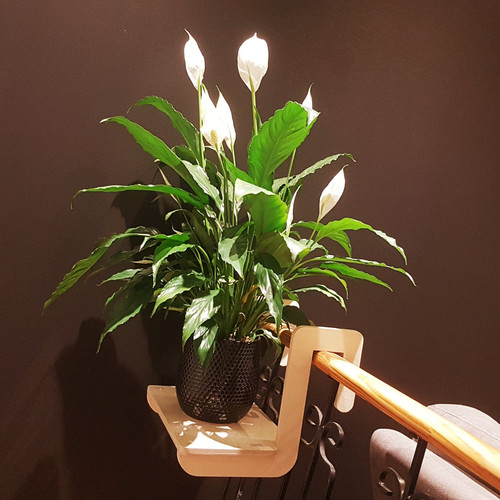 Tablette suspendue sur garde | Taillart