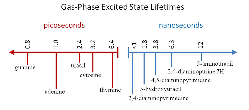 Origin of Life | Devries Group