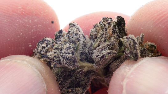 Fade Co. | Get Faded. | Compliant LA Cannabis Brand