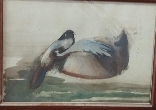 PALOMA MUERTA CON UN PALO DE GOLF- ALFONZO | Tienda De Arte