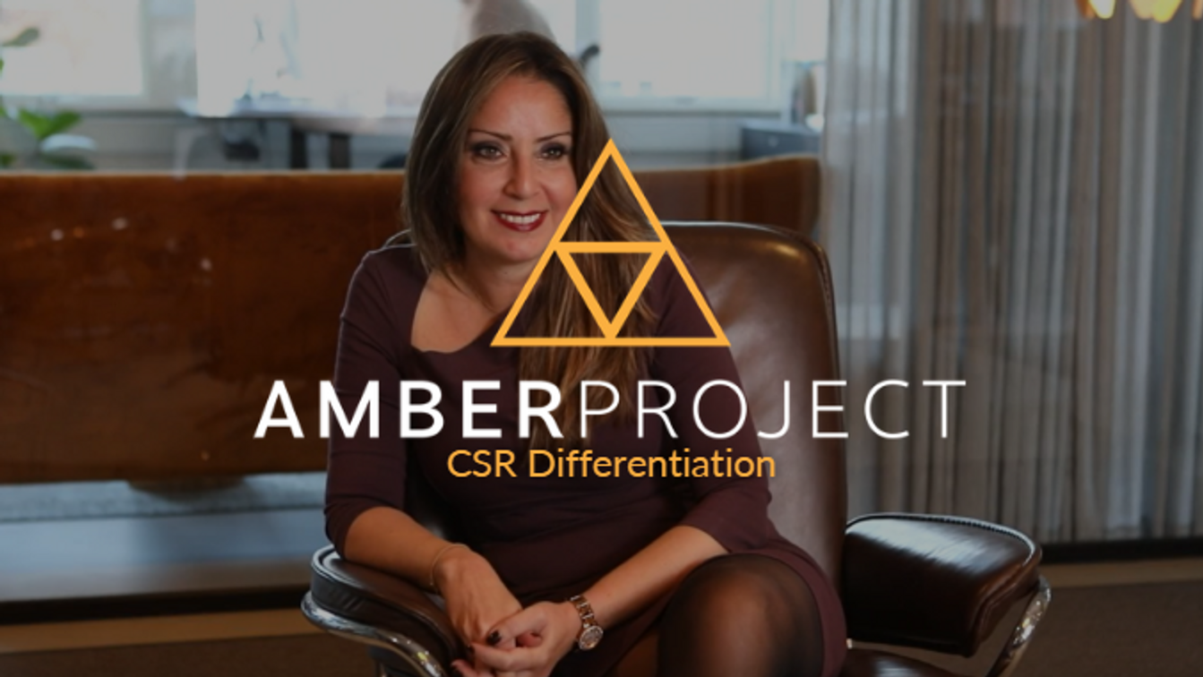 Amber Workplace | Amber-project.dk
