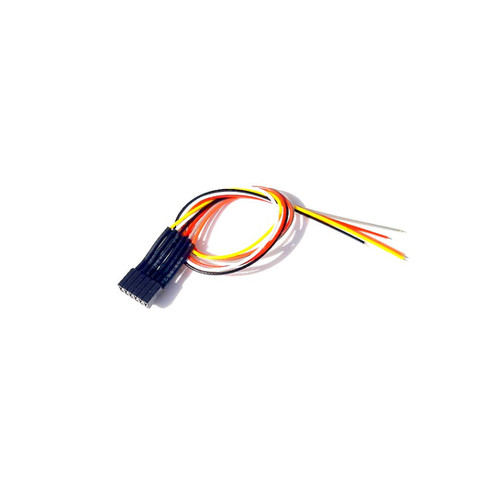 Prise / presa 6 pin NEM 651 | Claudio Decoder DCC