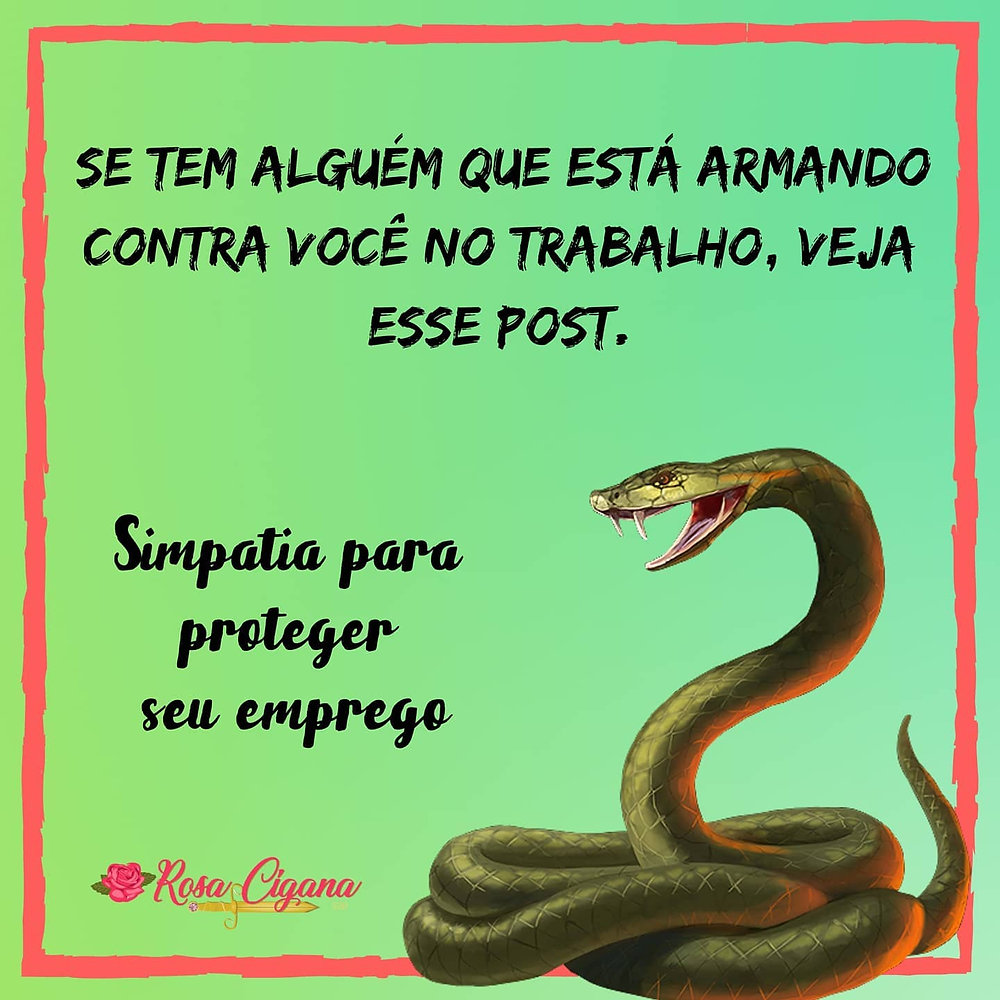 Proteção contra as cobras 🐍 Para ter segurança no trabalho. 🔒🍀👏🏼