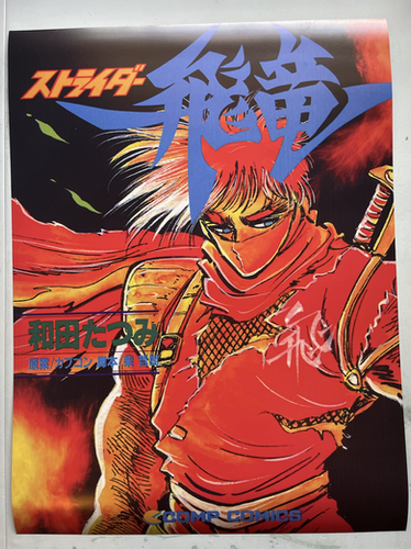Strider hiryu Poster | ArcadePlug