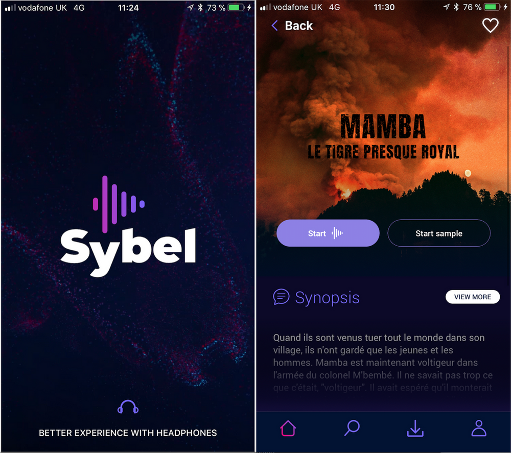 Sybel - 5 reasons we invested