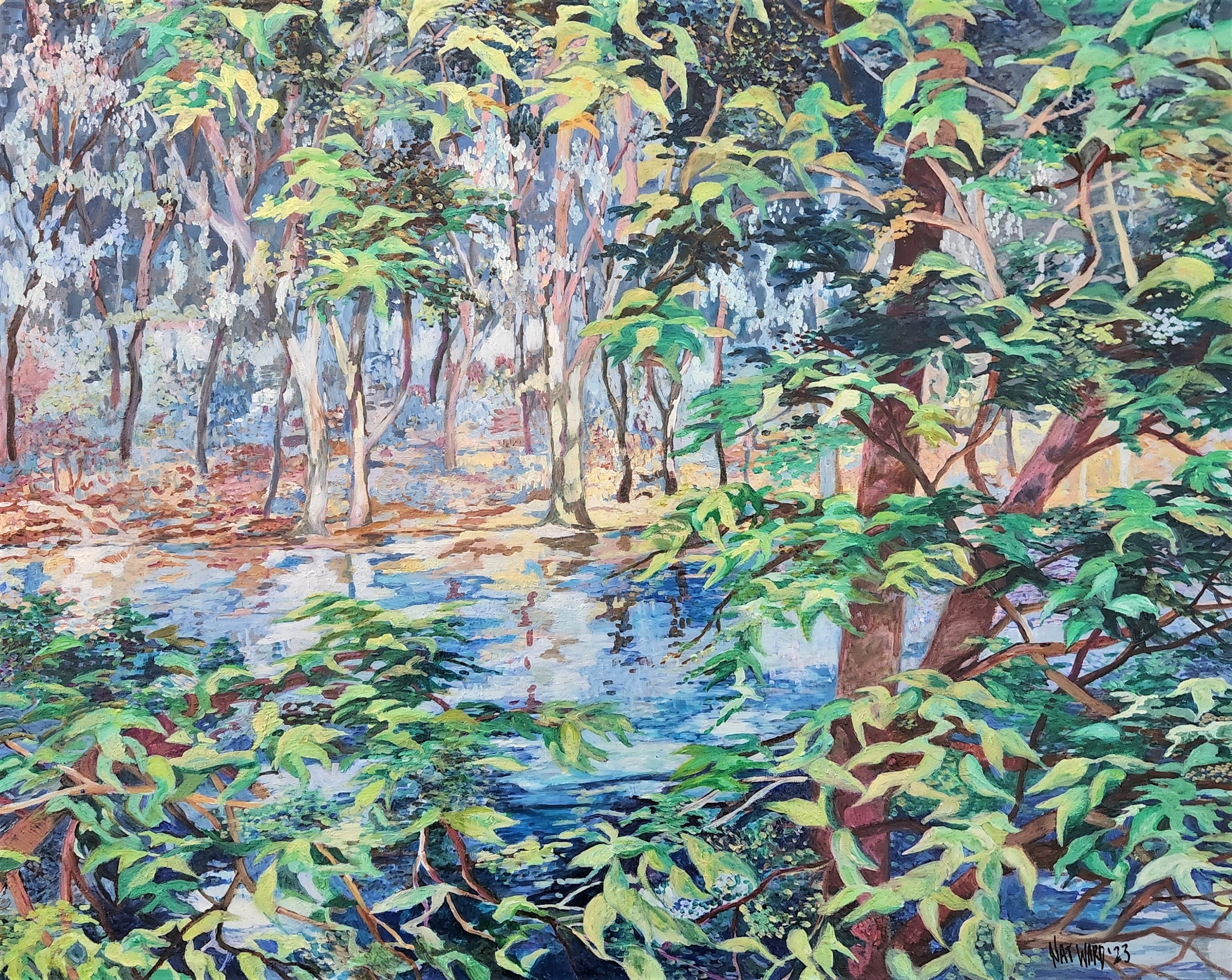 Nat Ward | Fine Contemporary Australian Landscapes Artist