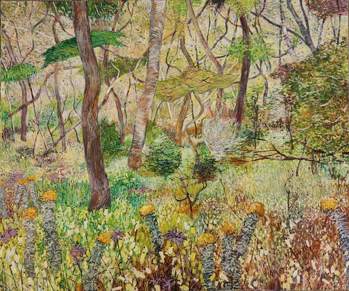 Small Beautiful Scrubland #2 | Nat Ward Artist