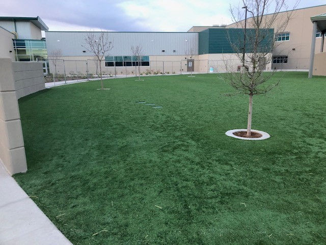 Projects | Accent Landscape
