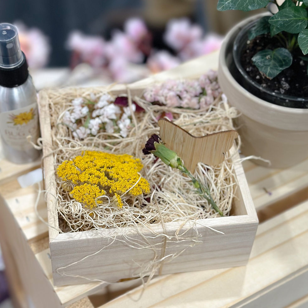 Earth Essentials by Erica | Organic Skincare and Holistic Wellness